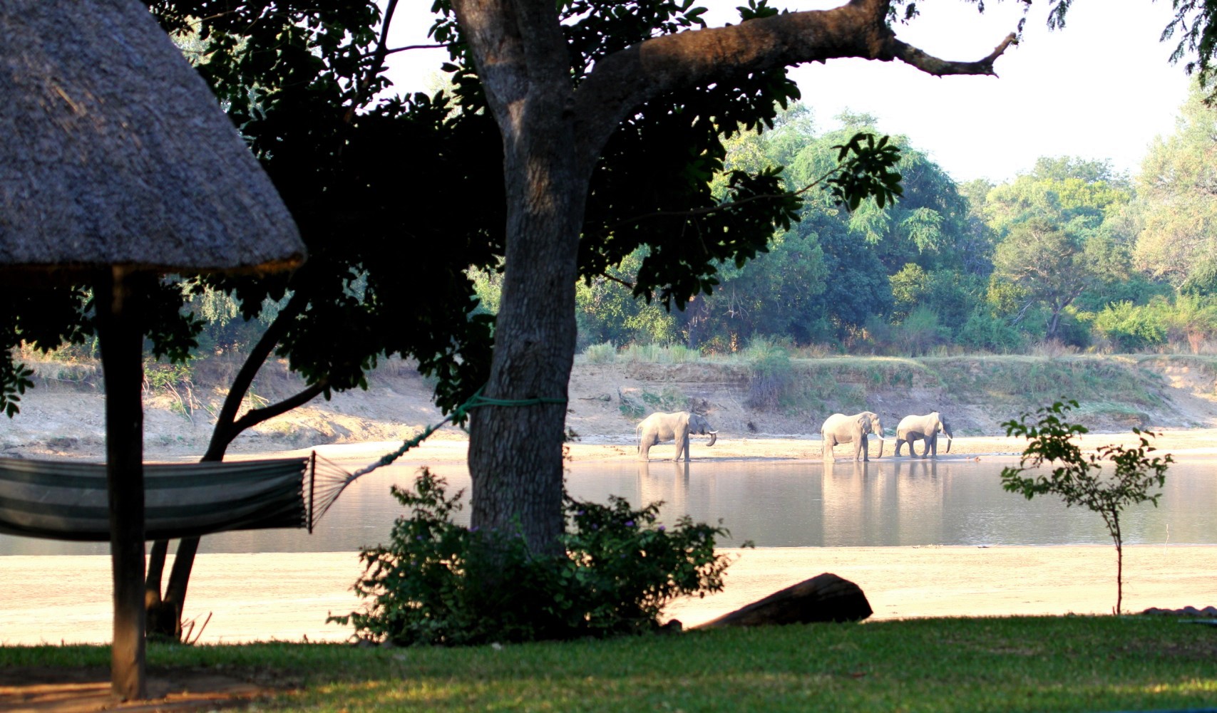 Croc Valley - Affordable Safari Camp South Luangwa Zambia